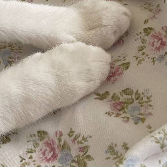 Produk Jobless Monday | Shopee Indonesia