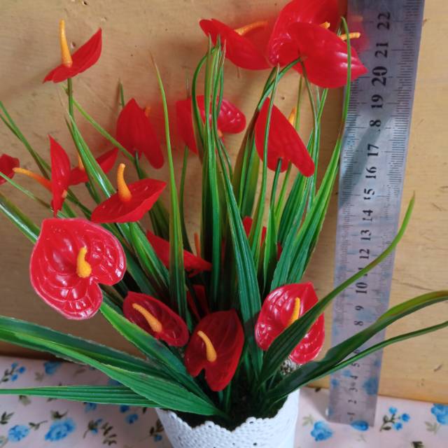 Produk Toko Bunga Cantik Manis | Shopee Indonesia