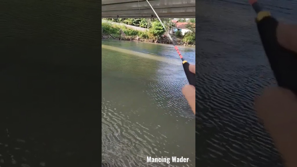 Produk Mancing Wader | Shopee Indonesia