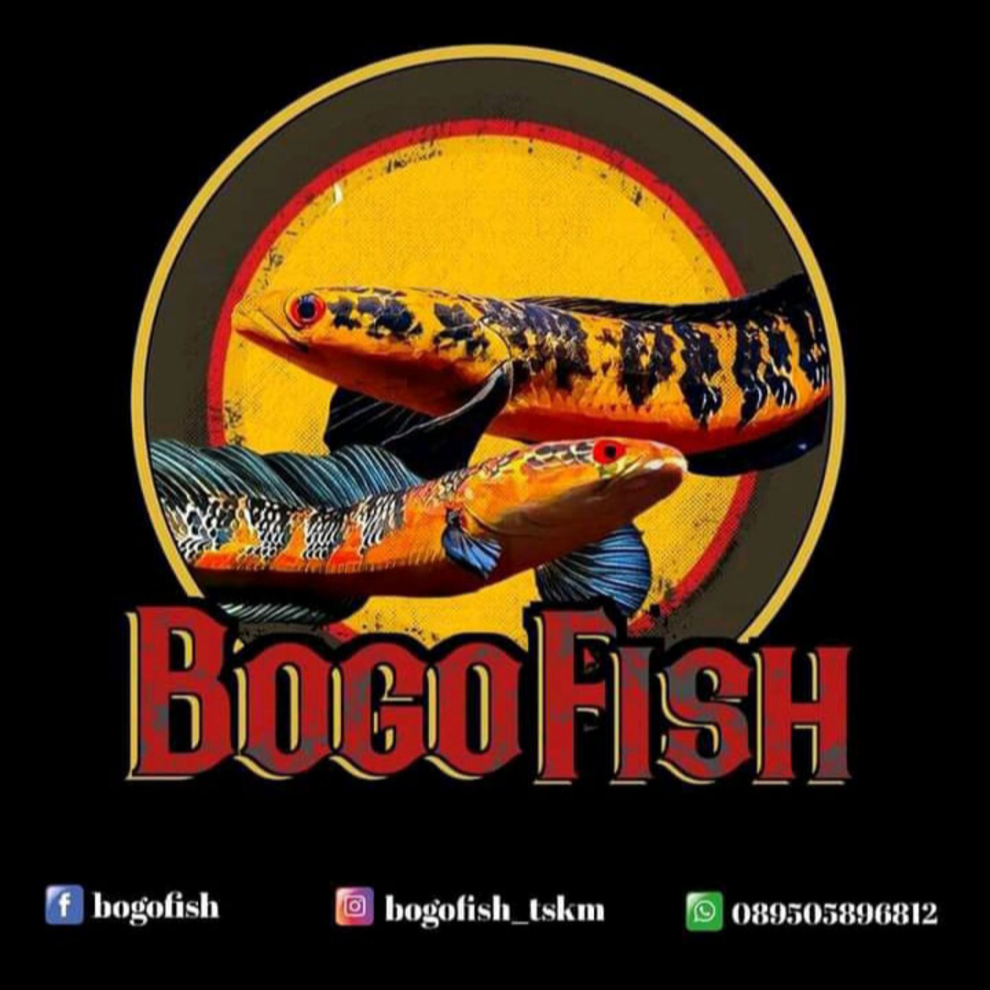 Produk Bogofish_store | Shopee Indonesia