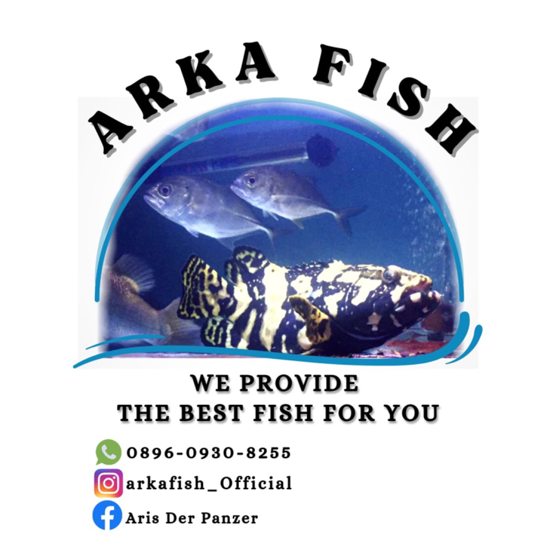 Produk ARKA FISH BRACKHIS | Shopee Indonesia