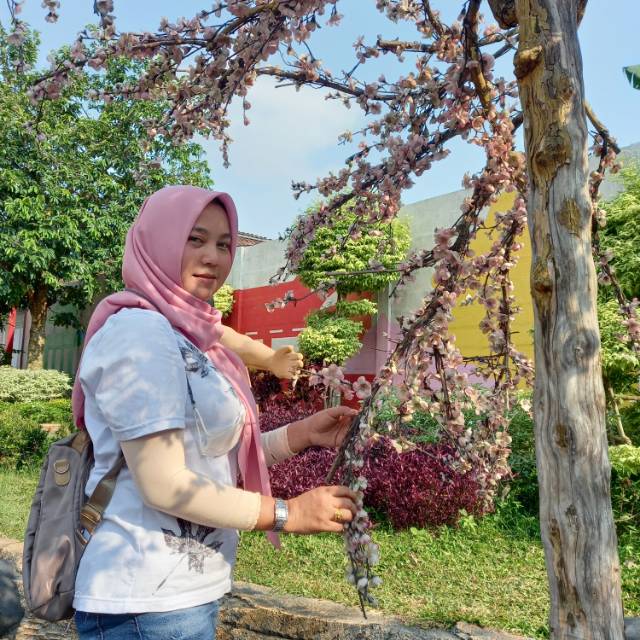 Produk DMD.shop | Shopee Indonesia