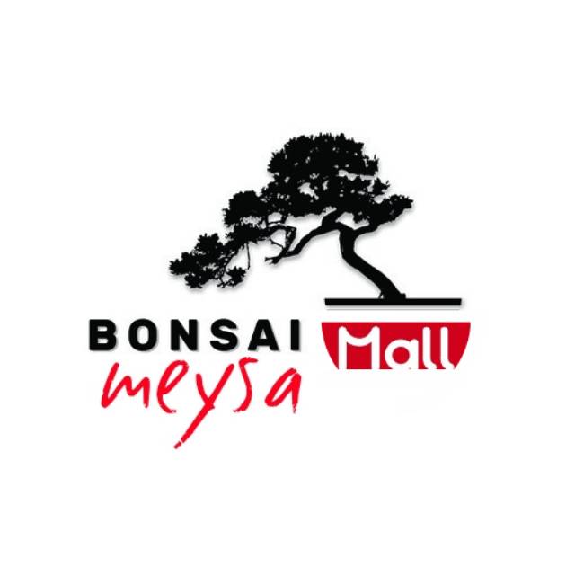 Produk meysa.bonsai | Shopee Indonesia