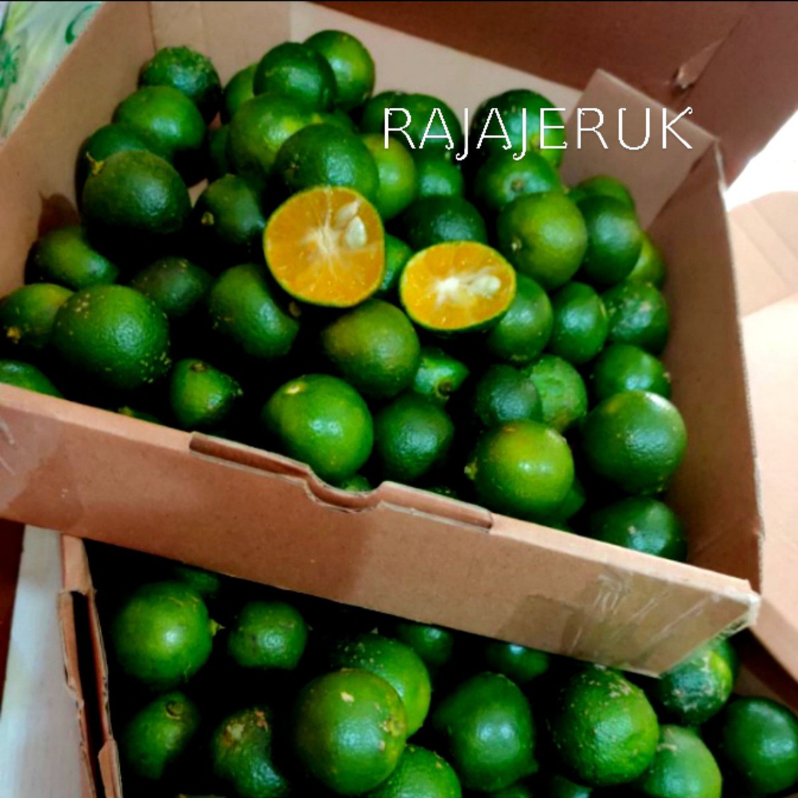 Produk RAJA JERUK SONKIT | Shopee Indonesia