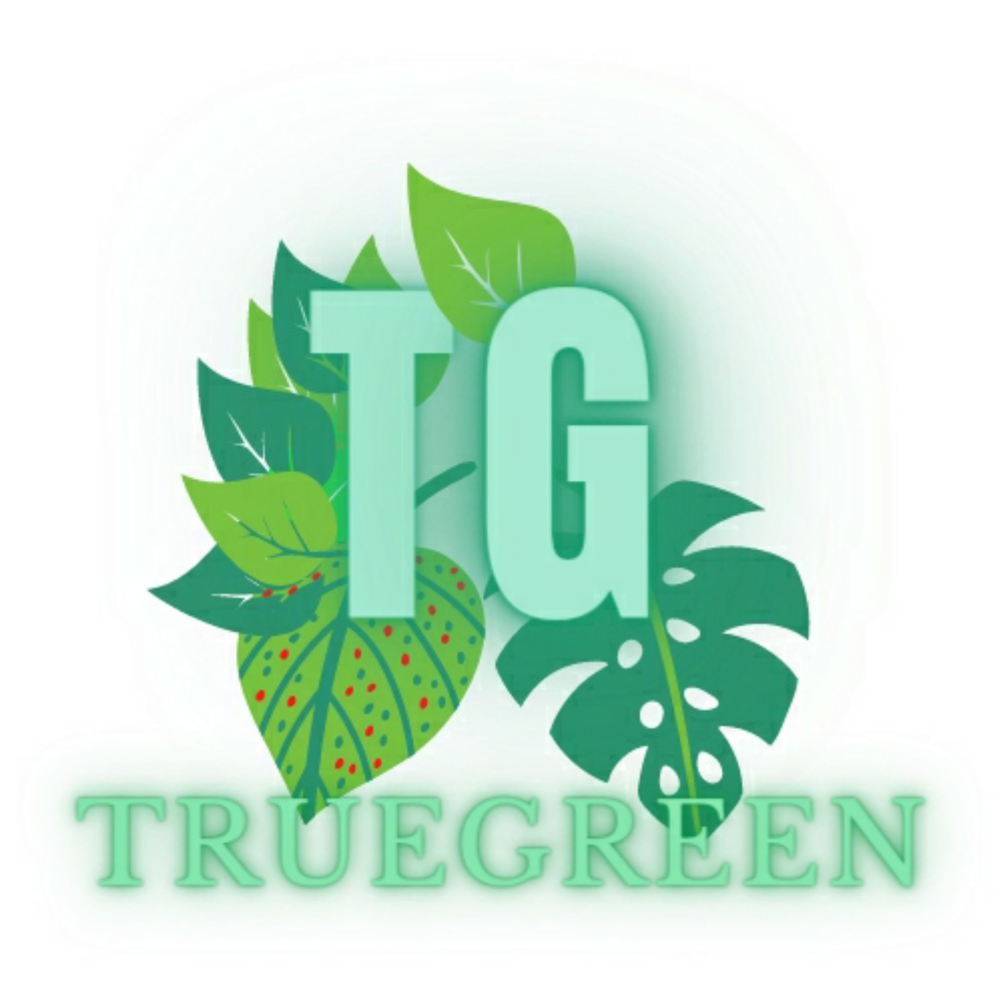 Produk TrueGreen | Shopee Indonesia