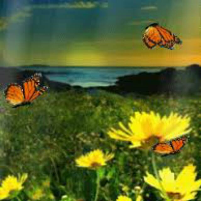 Produk Dd69 farm | Shopee Indonesia