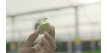 Toko Online BeLeaf Farms Official Shop | Shopee Indonesia