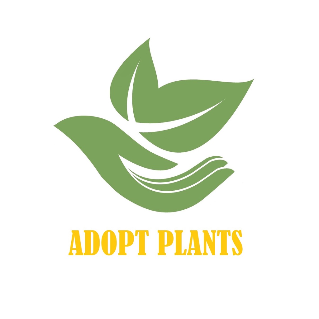 Produk Adopt Plants | Shopee Indonesia