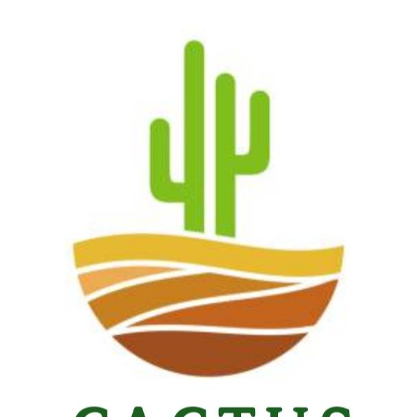 Produk Cactus Electronic | Shopee Indonesia