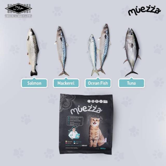 Produk Catfood muezza halal | Shopee Indonesia
