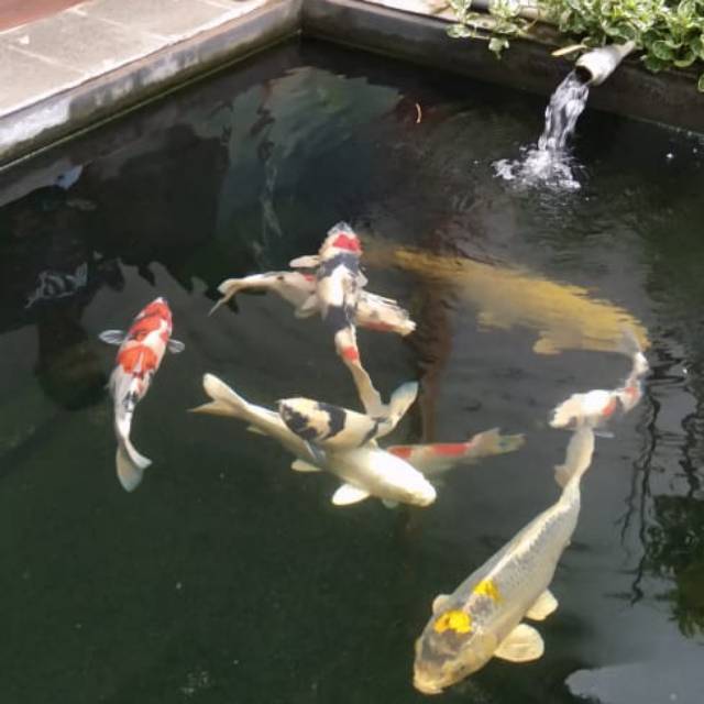 Produk GENDHIS STORE 09 | Shopee Indonesia