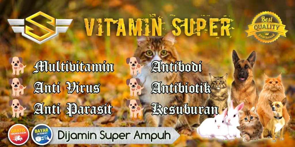 Produk Vitamin Super Official | Shopee Indonesia