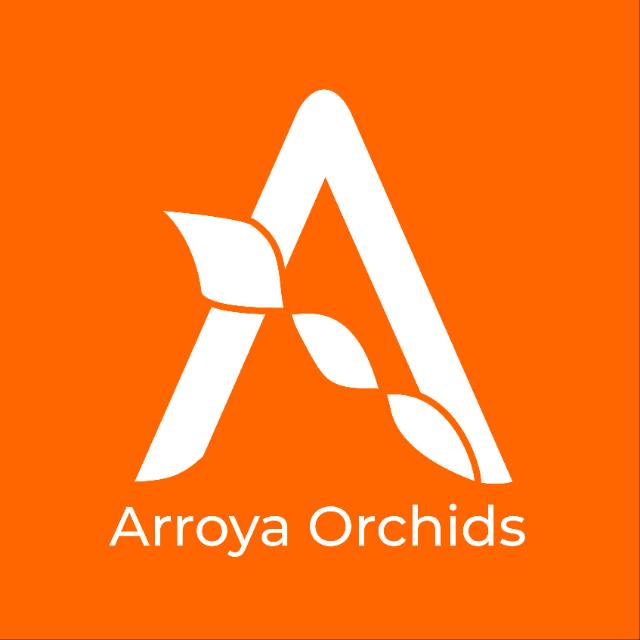 Produk Arroya Orchids | Shopee Indonesia