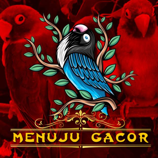 Produk MENUJU GACOR | Shopee Indonesia