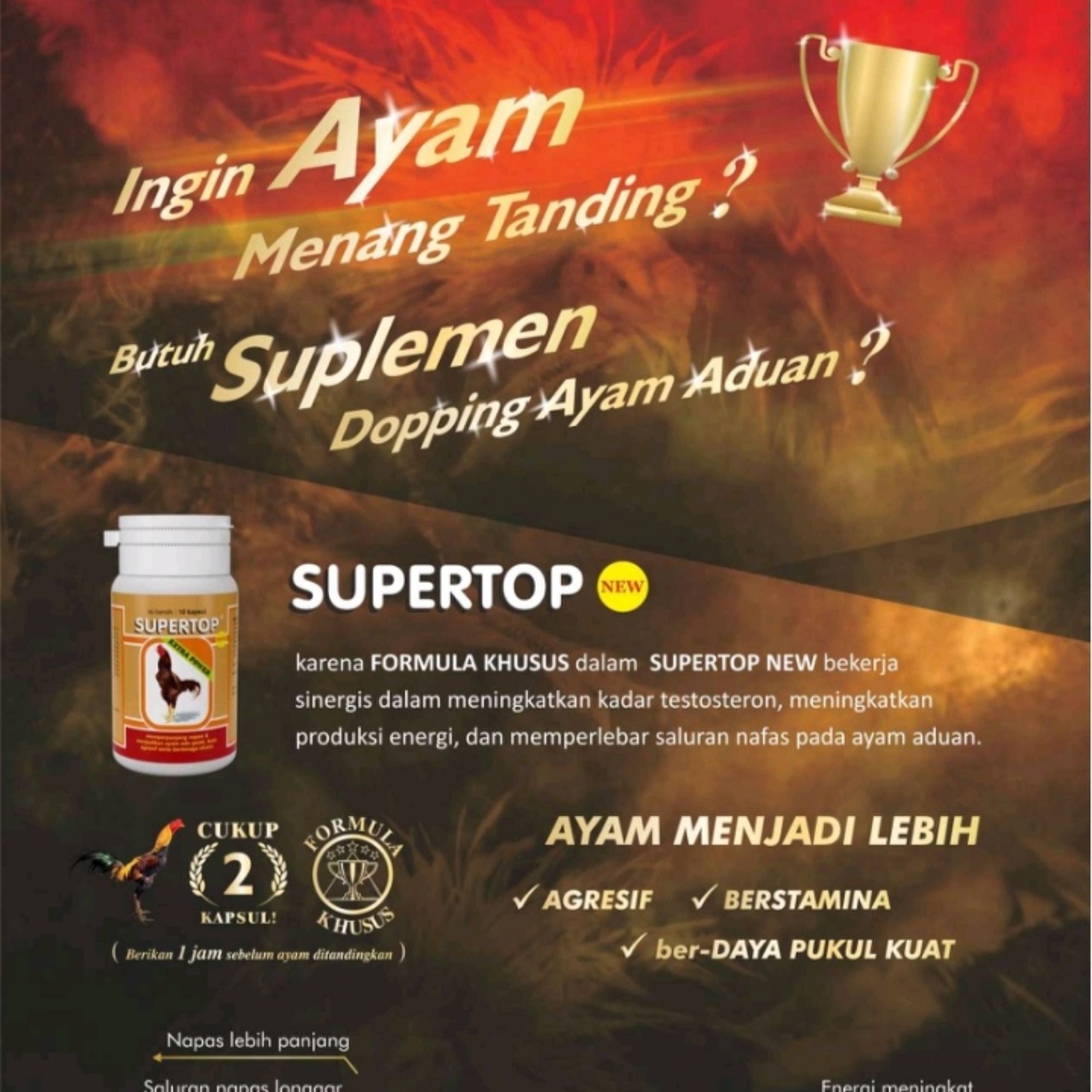 Produk BASYARI FARM | Shopee Indonesia