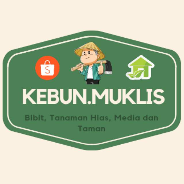 Produk Kebun Muklis | Shopee Indonesia