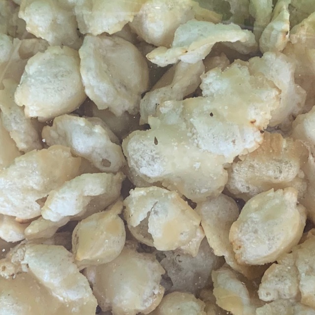 Produk EMPING MENES ASLI | Shopee Indonesia