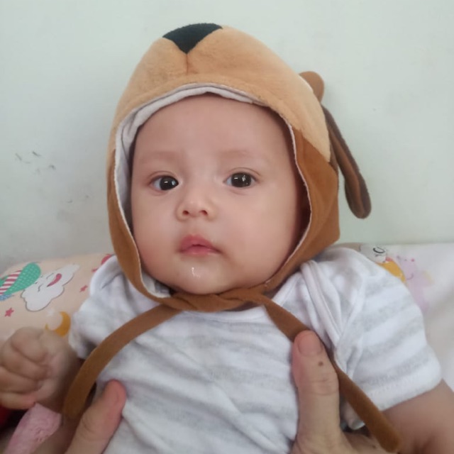 Produk ghaniyyah phonsel | Shopee Indonesia
