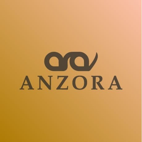 Toko Online Anzora Authorized Store | Shopee Indonesia