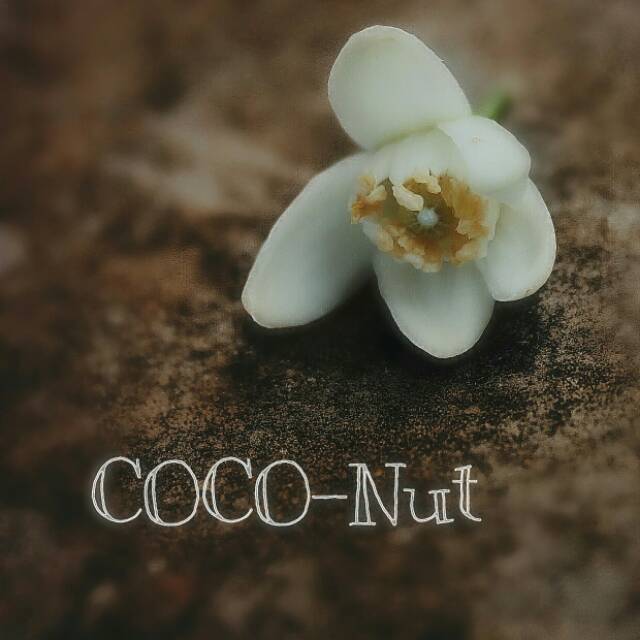 Produk COCONut_Story | Shopee Indonesia