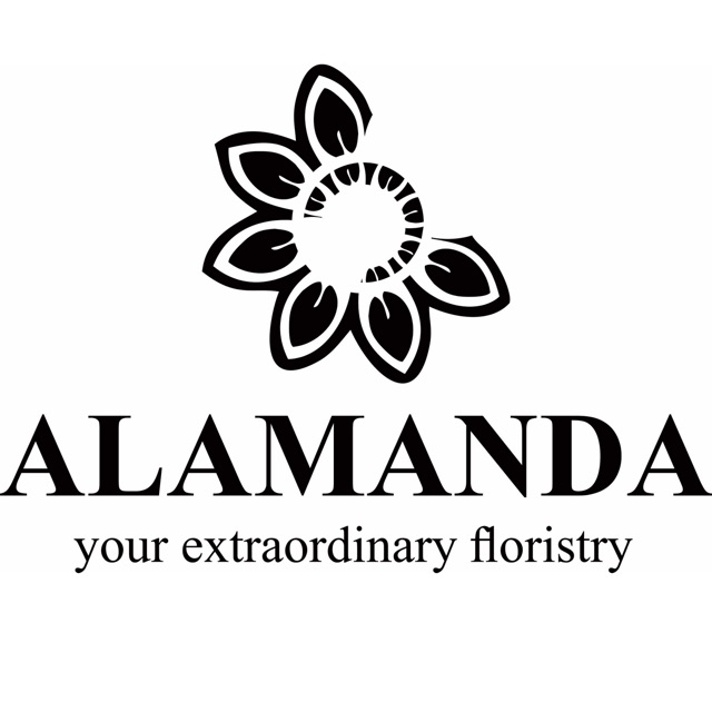 Produk alamanda_flower | Shopee Indonesia