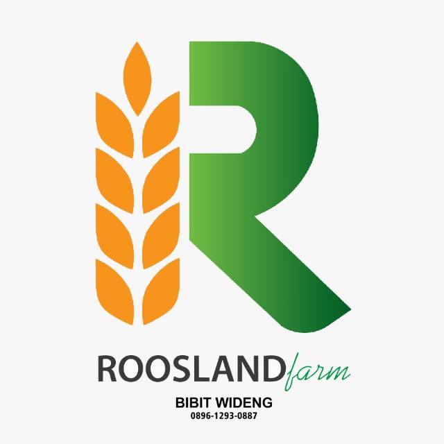 Produk Bibit Wideng | Shopee Indonesia