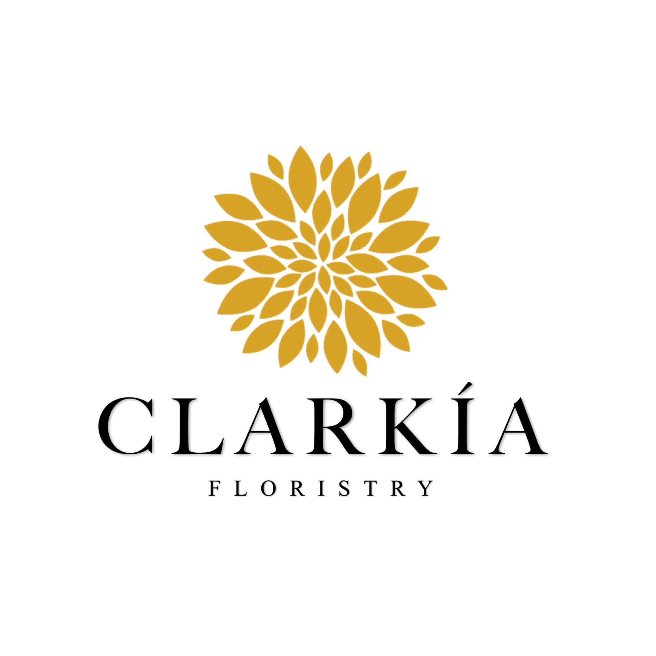 Produk Clarkia Floristry | Shopee Indonesia