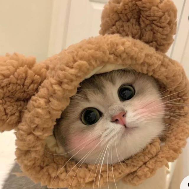 Produk Natnat_nutnut | Shopee Indonesia