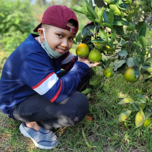 Produk Putra Delta Sejahtera | Shopee Indonesia