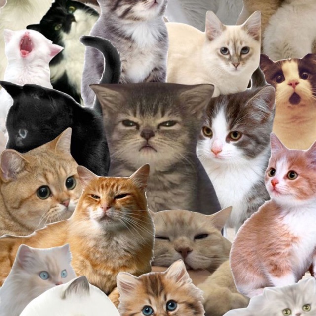 Produk urgoddess.co | Shopee Indonesia