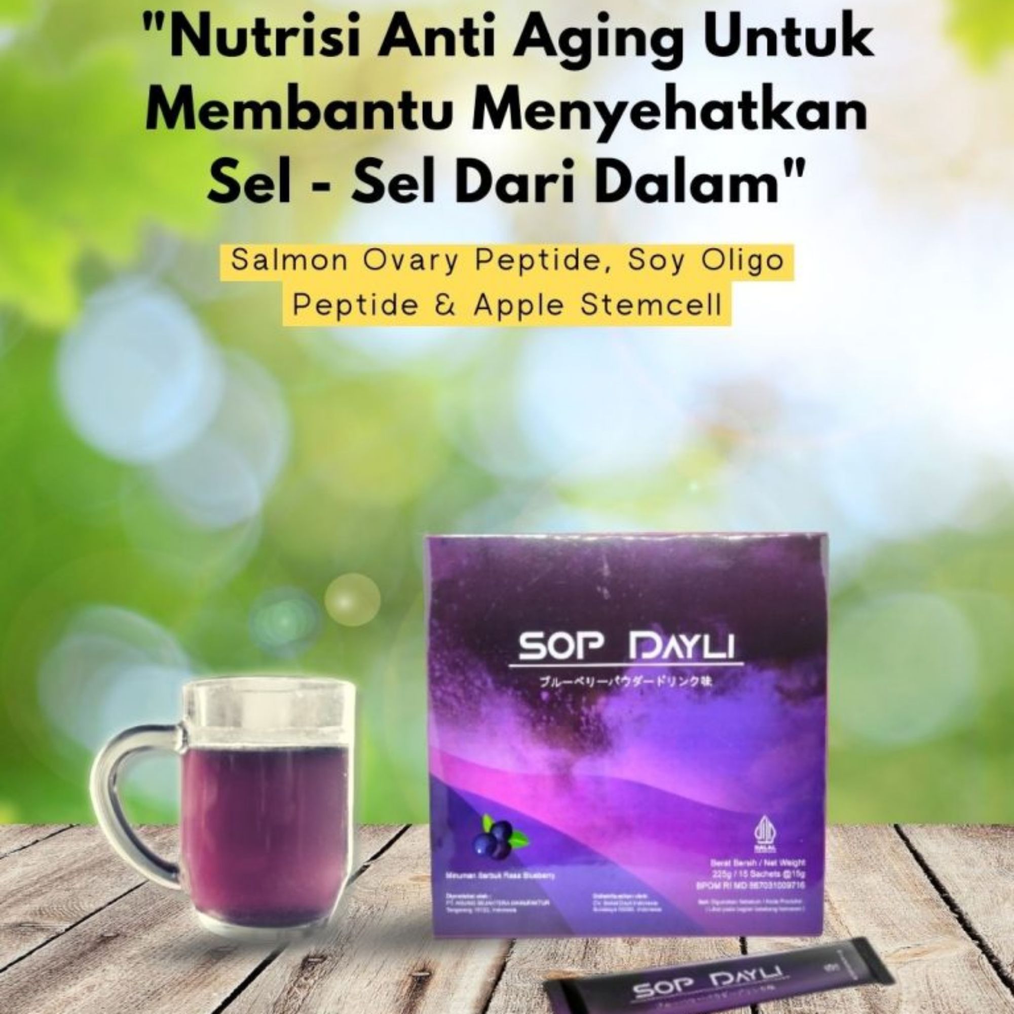 Produk SOP Dayli Official | Shopee Indonesia