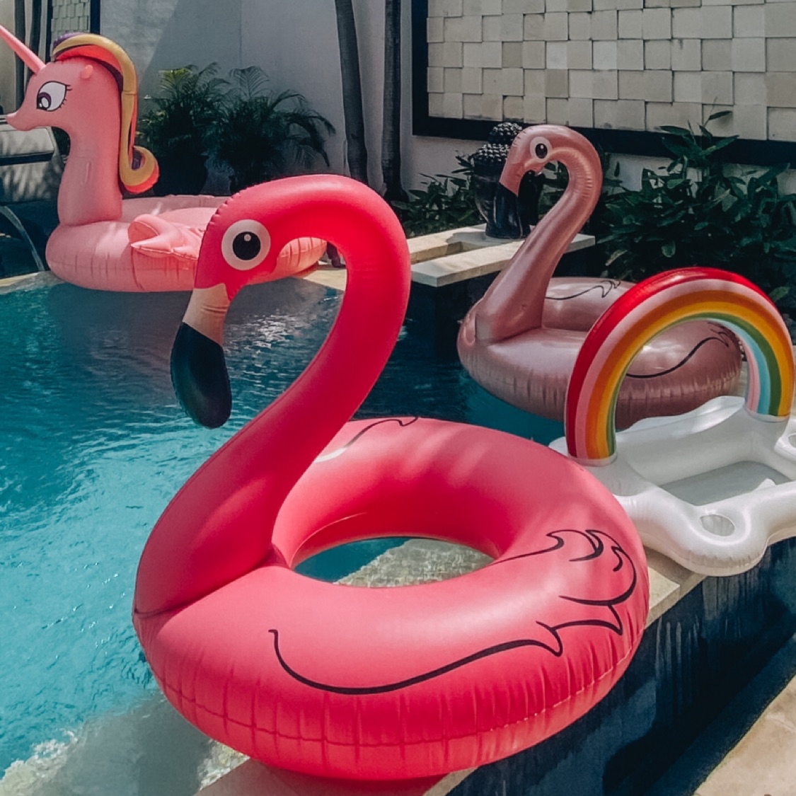 Produk wefloatbali | Shopee Indonesia