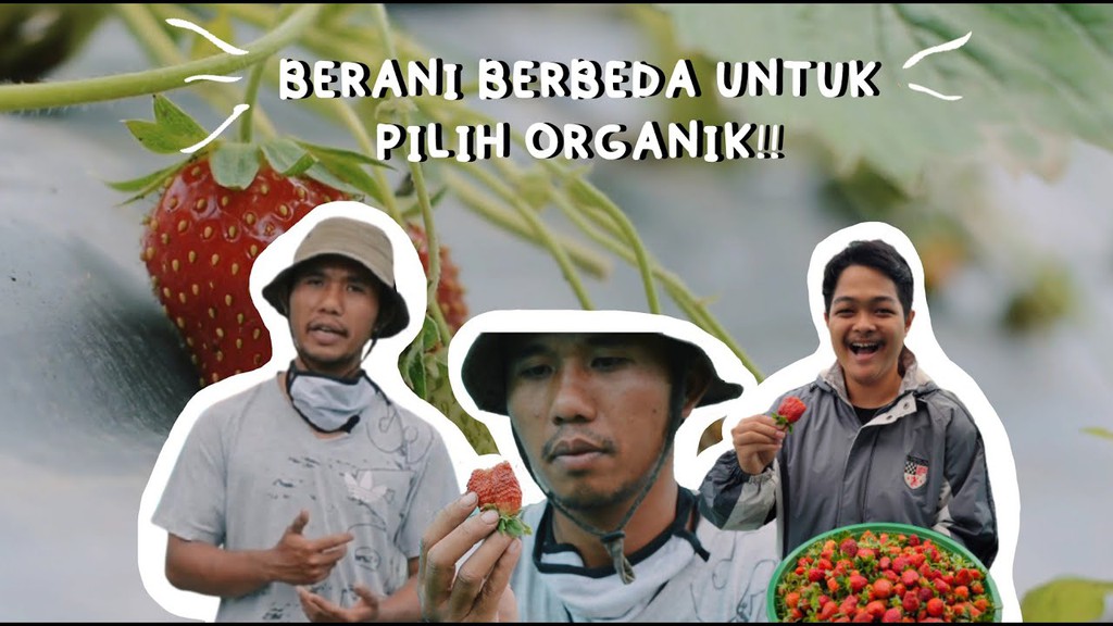 Produk Soga Farm Indonesia | Shopee Indonesia