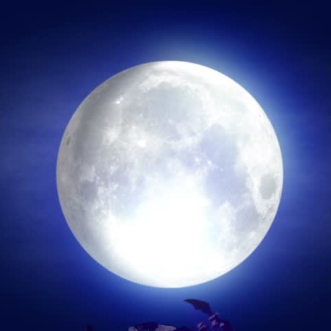 Produk Cahaya Rembulan Official | Shopee Indonesia