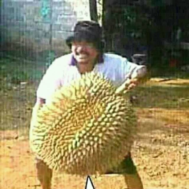 Produk Uwang Ocu | Shopee Indonesia