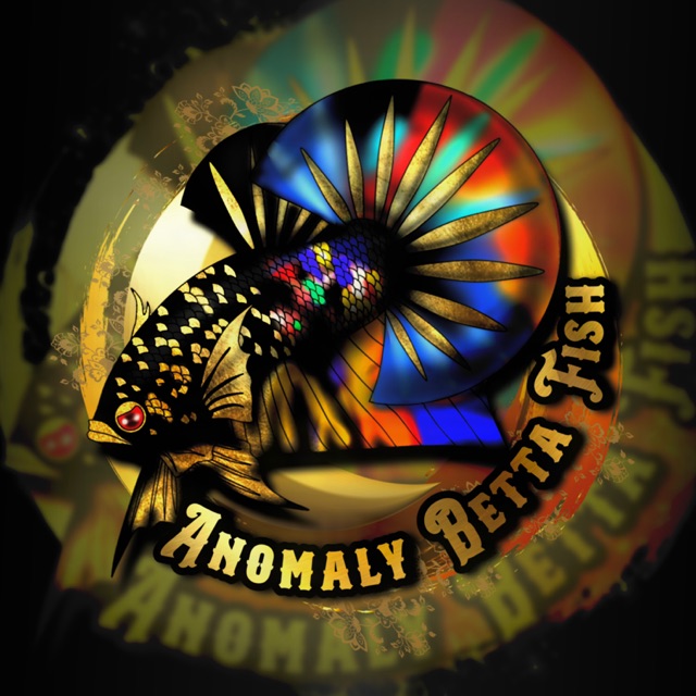 Produk anomaly betta fish | Shopee Indonesia