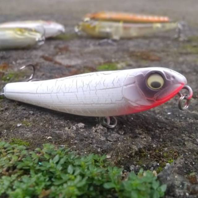 Produk caster indo | Shopee Indonesia