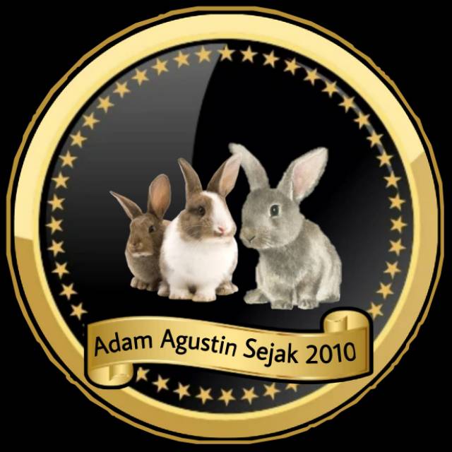 Produk Adam Agustin | Shopee Indonesia