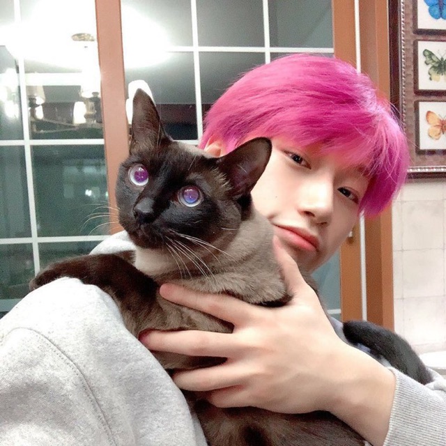 Produk rennar stuff | Shopee Indonesia