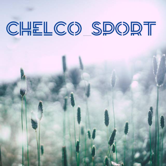 Produk Chelco_store | Shopee Indonesia