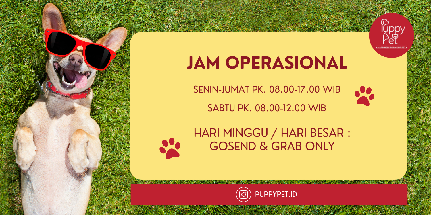 Produk Puppy Pet | Shopee Indonesia