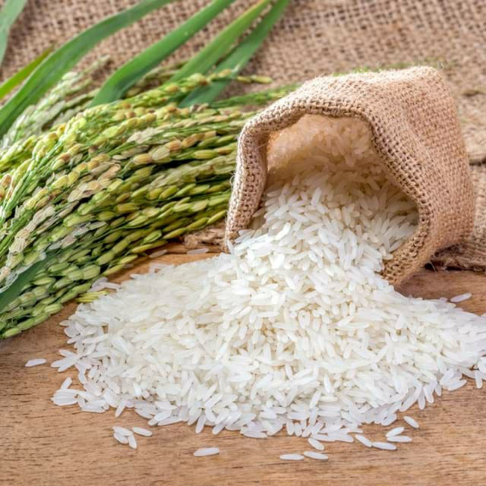Produk Toko Beras Grosir | Shopee Indonesia