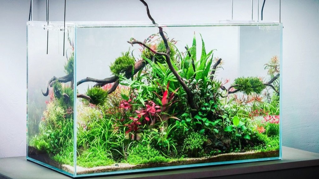 Produk Aquastore Jkt | Shopee Indonesia