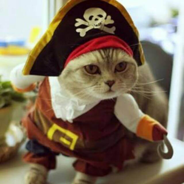 Produk AA Milk Shop | Shopee Indonesia