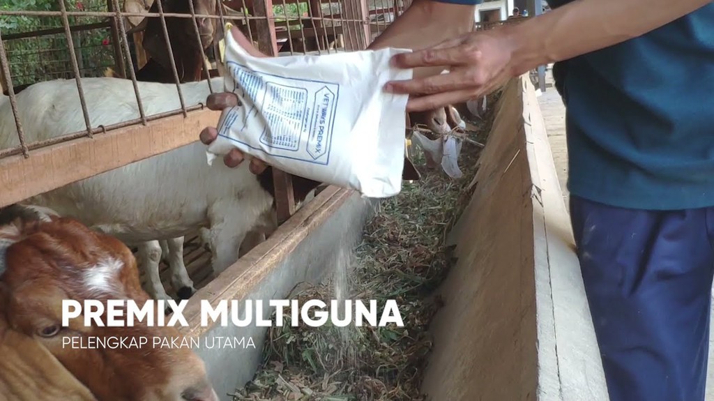 Produk PREMIX TERNAK | Shopee Indonesia