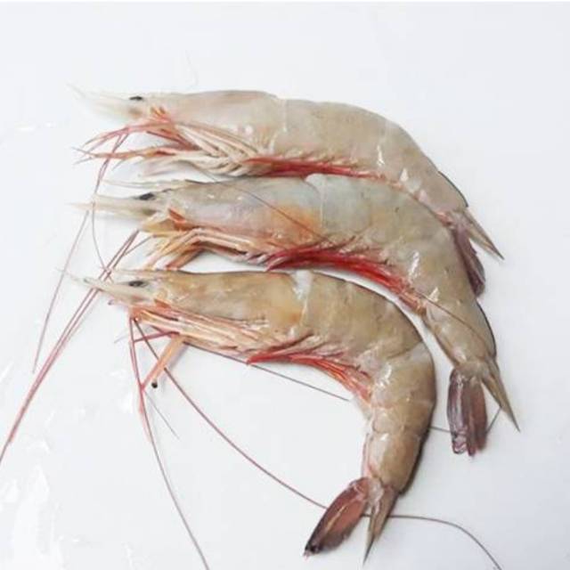 Produk Atlantis Seafood Company | Shopee Indonesia