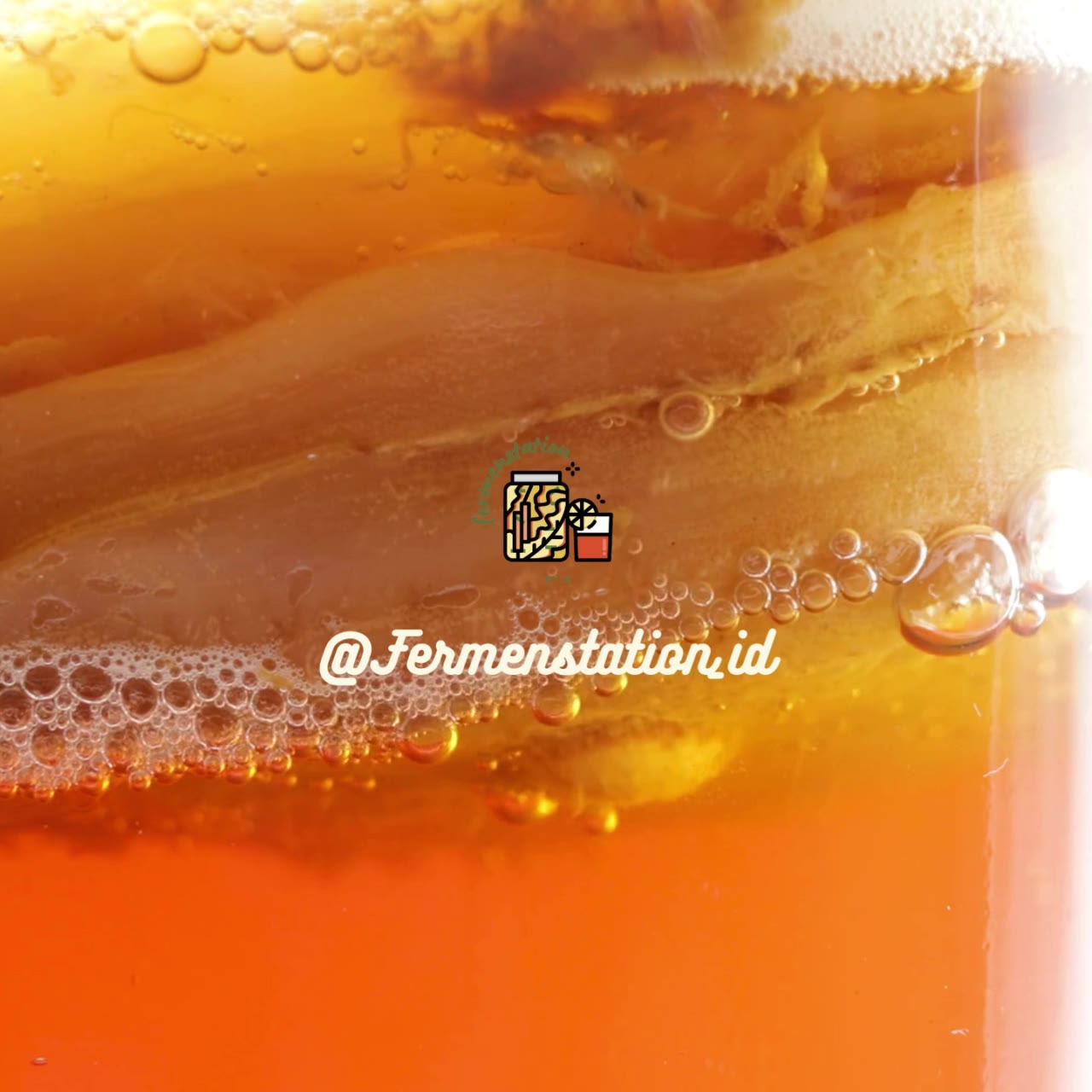 Produk fermenstation_id | Shopee Indonesia