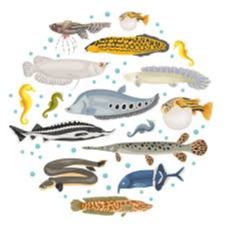 Produk CLEAR COATING | Shopee Indonesia