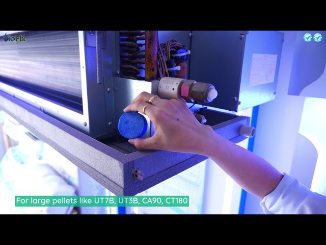 Produk BioFix Fresh | Shopee Indonesia