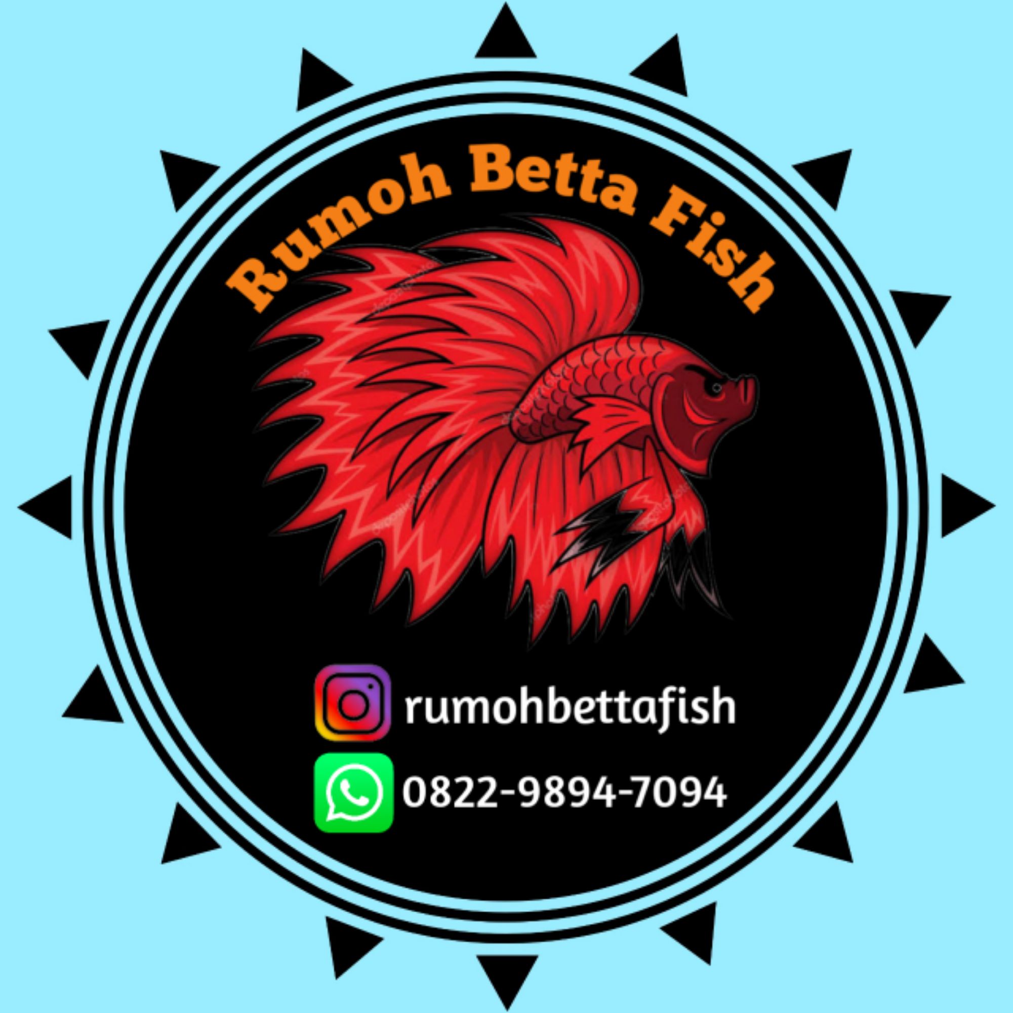 Produk nangroe.betta | Shopee Indonesia